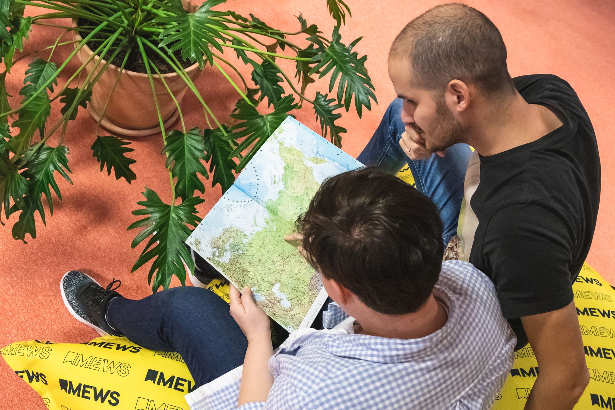 Learn or die | Mews Developers